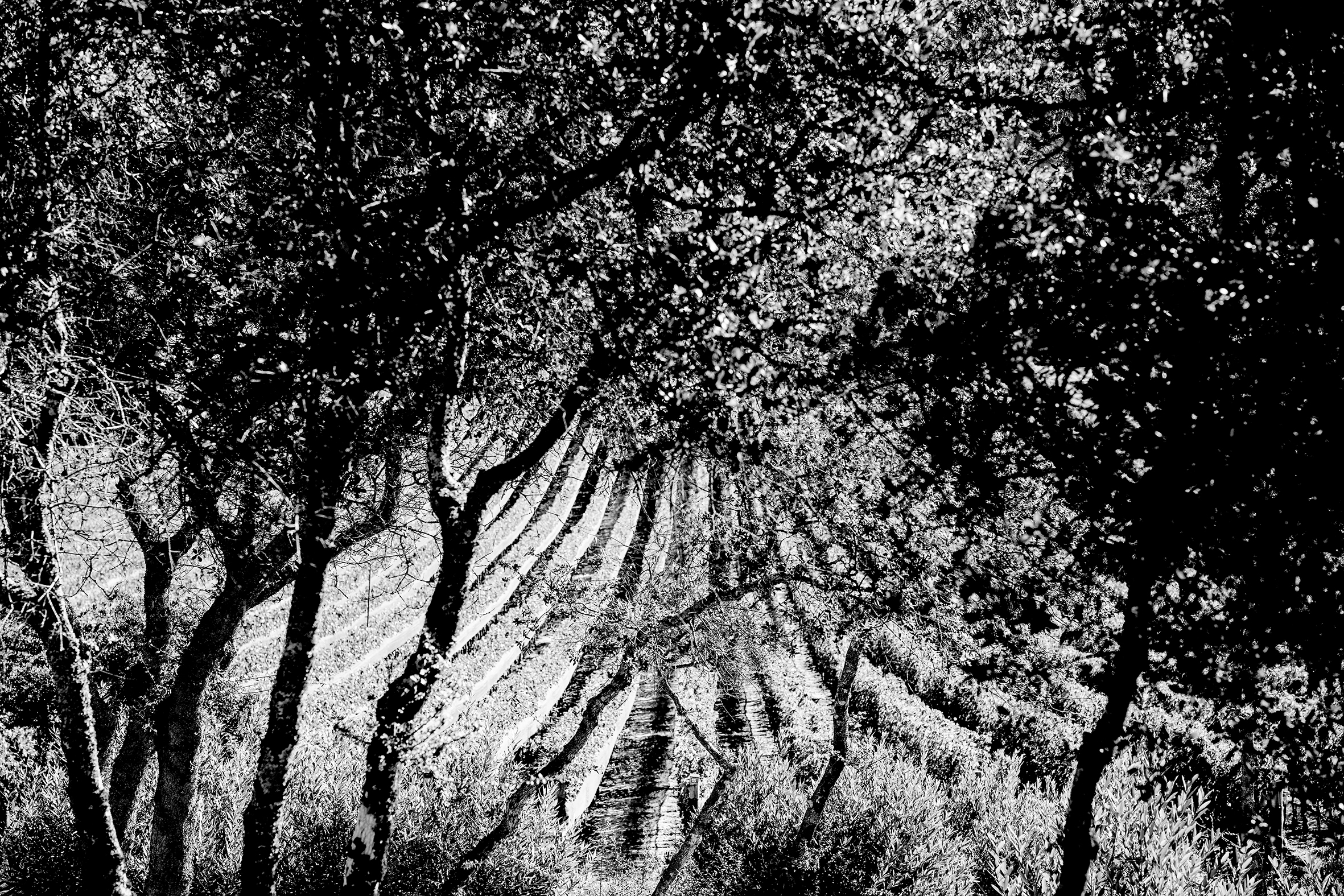 Colgin 2021 and 2022