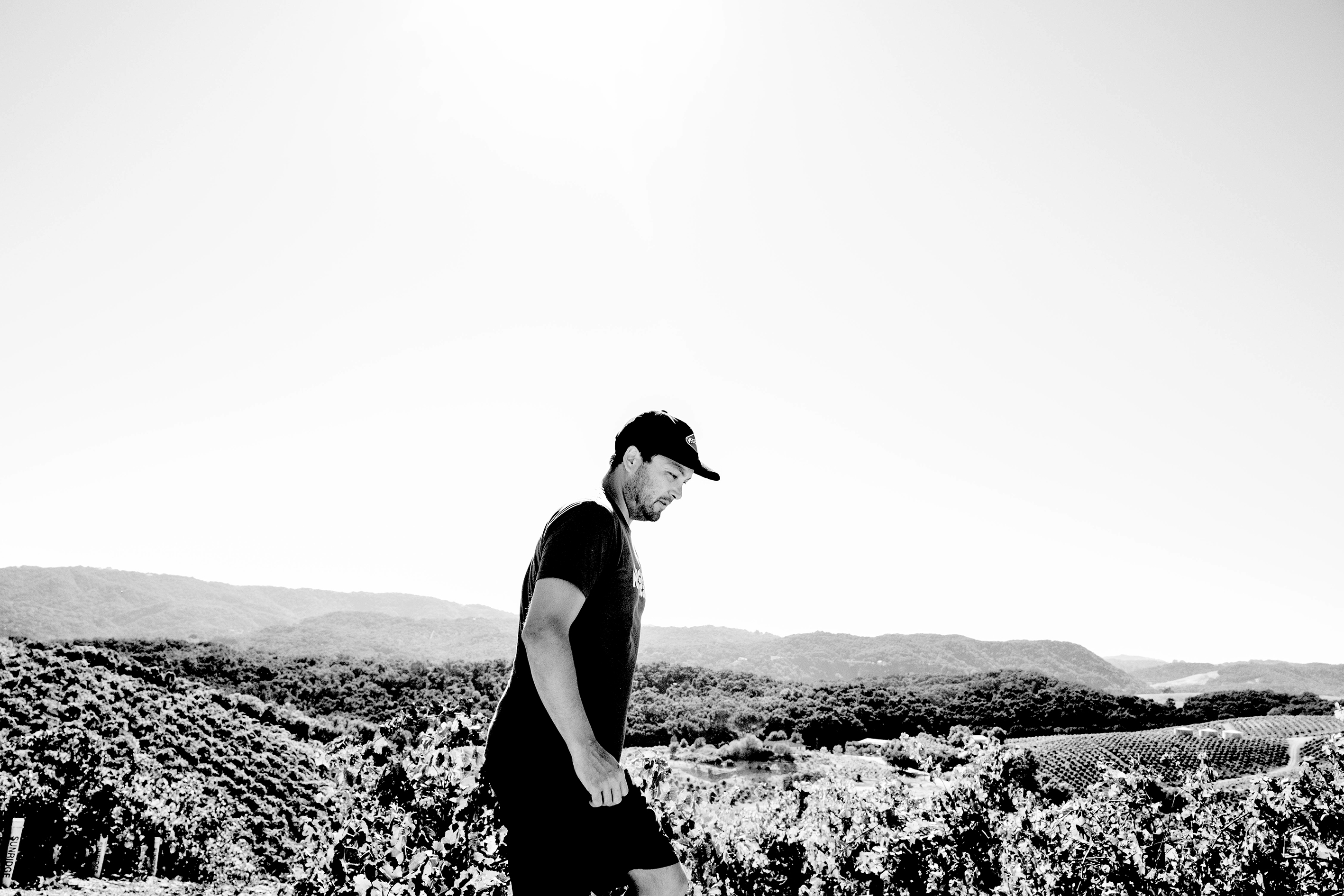 Paso Robles Compendium