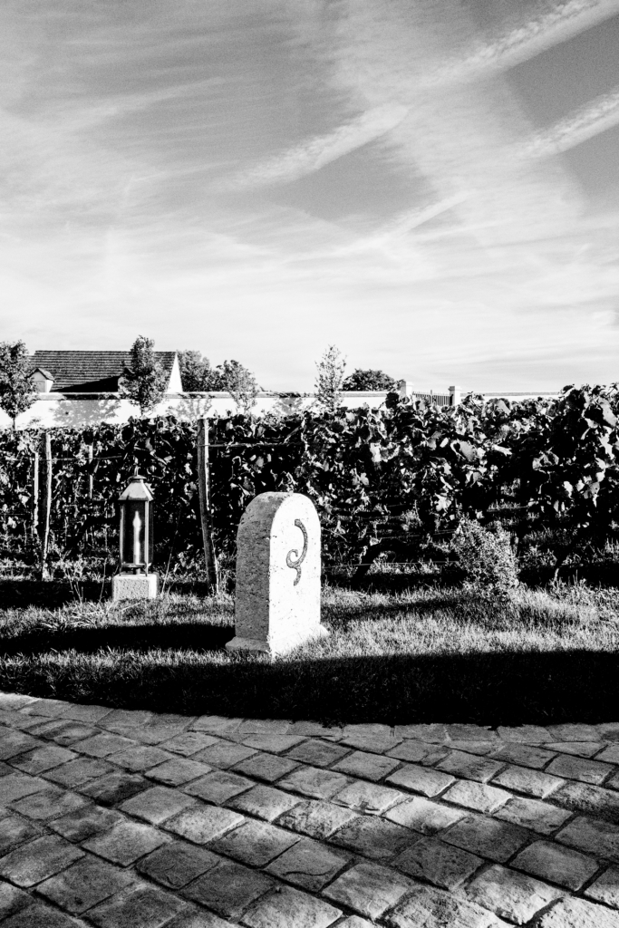 Champagne Billecart-Salmon