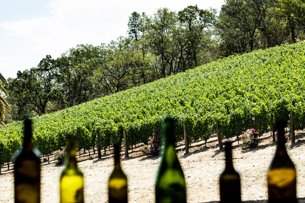 The 2023 Beyond Bordeaux Releases